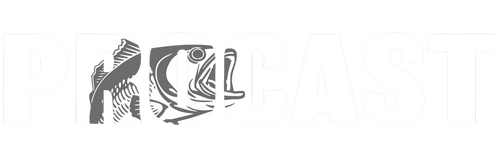 How to Cast Like a Pro: A Step-by-Step Guide – ProCast